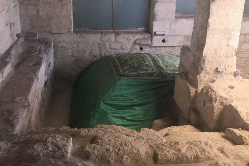 Prophet Daniel & The Gharqad Tree: Decoding the End Times Hadith ...